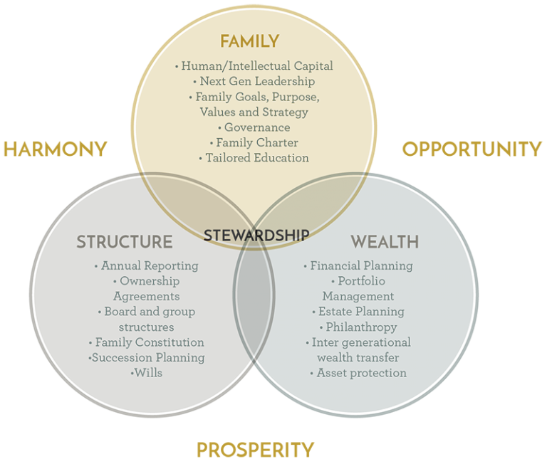 Holistic Model for Stewardship - Momentum Advisory Group